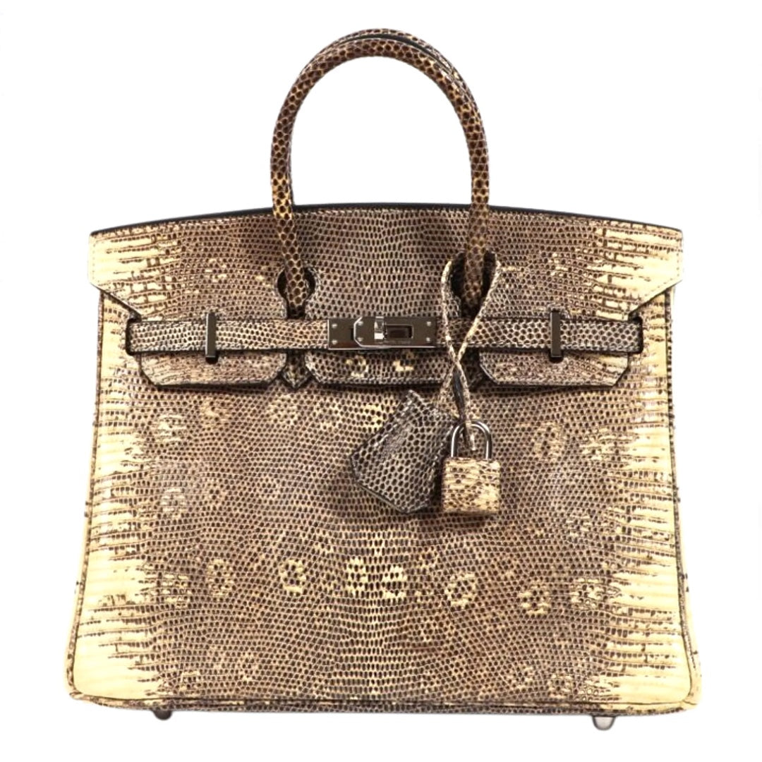 Hermès Birkin 25 Ombre Lizard Exotic Leather | Gemaee